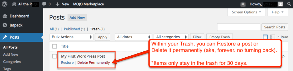 How To Create A Post In WordPress (Step By Step)