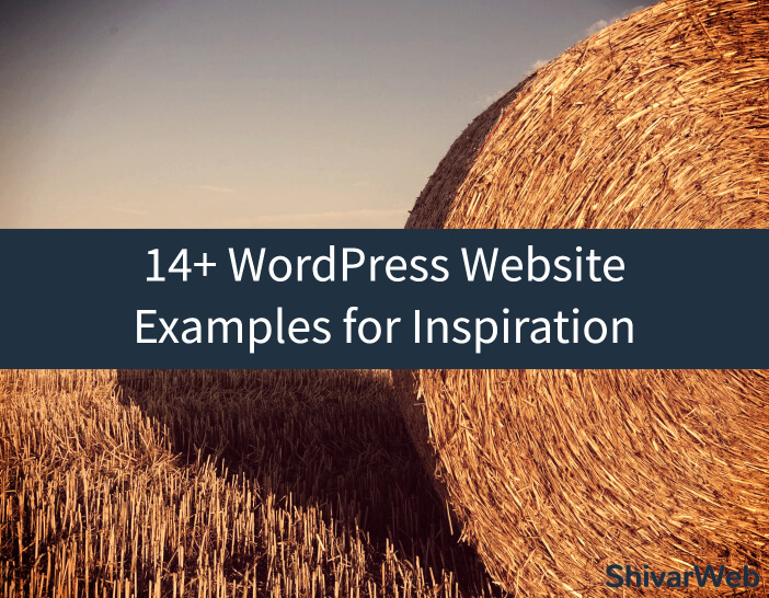 14+ Great WordPress Website Examples for Inspiration